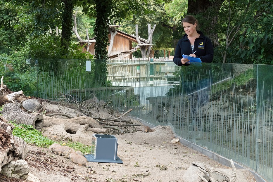 Research Strategy – Vienna Zoo