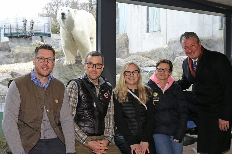 Gemeinsam für den Schutz der Eisbären – Tiergarten Schönbrunn