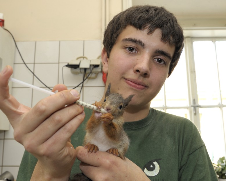 Tierpfleger zieht Eichkätzchen auf – Tiergarten Schönbrunn
