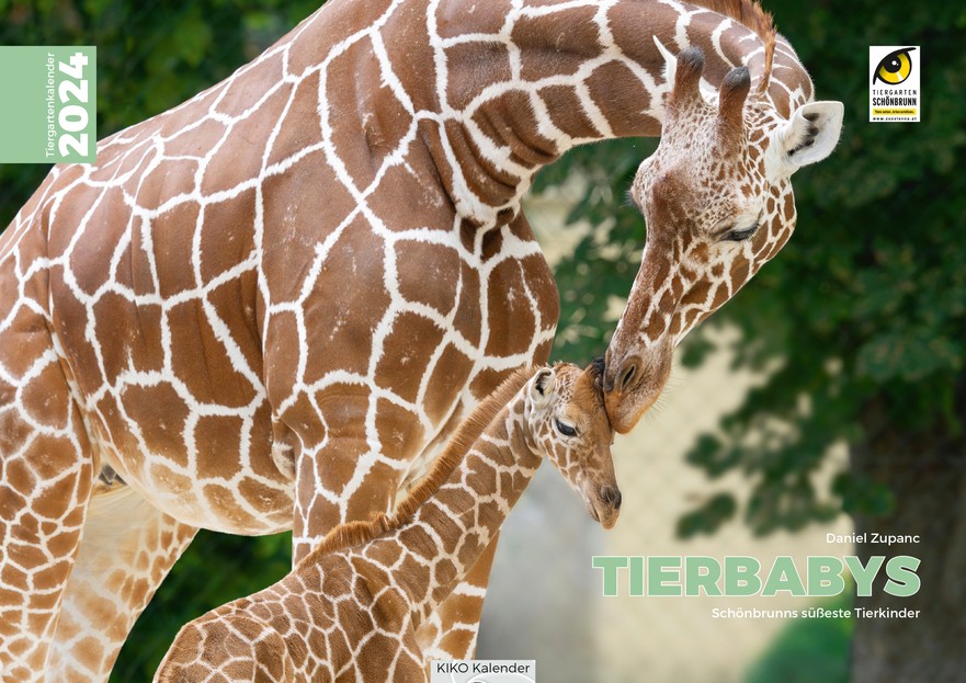 Der neue Tiergartenkalender ist da! – Tiergarten Schönbrunn