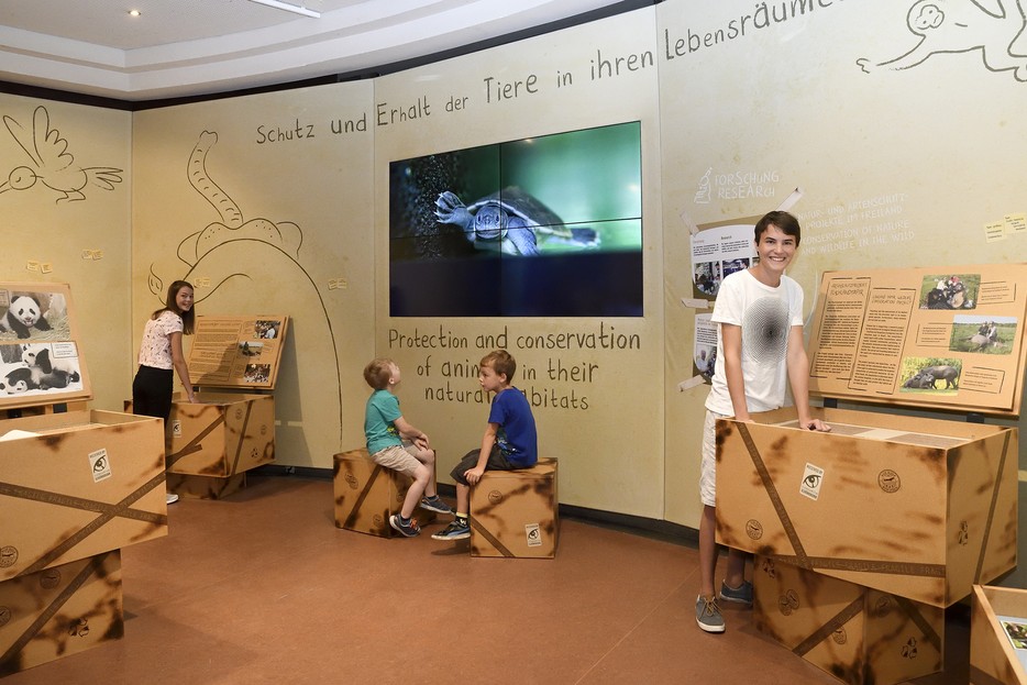 Species conservation exhibition in the Big Cat House – Vienna Zoo