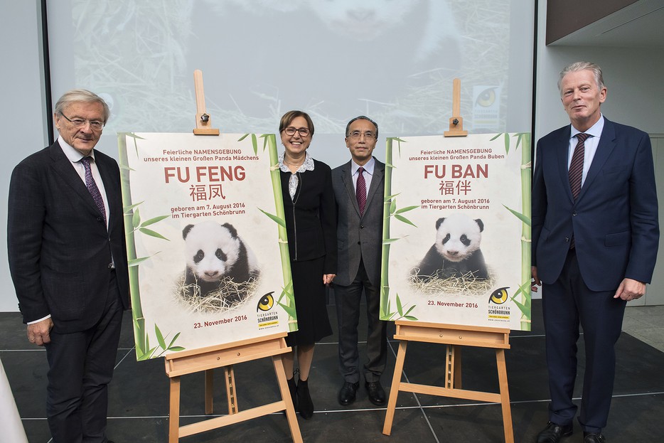Pandabub "Fu Hu" ist getauft – Tiergarten Schönbrunn