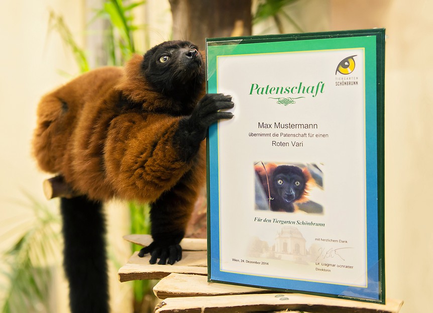 Weihnachtsgeschenke gesucht? Wie wäre es mit Affe, Flamingo & Co ...