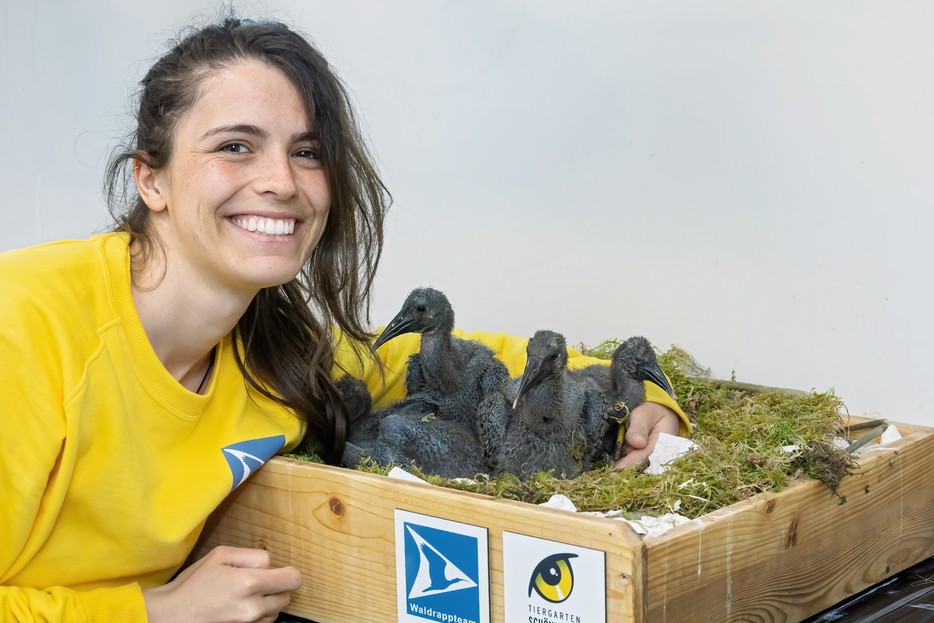 Species Protection in the Wild – Vienna Zoo