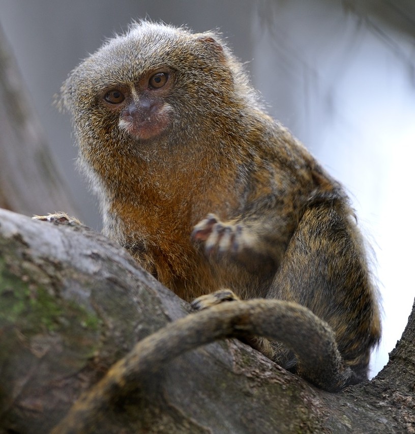 Foto: Manfred Stotz , 30. Juli 2012