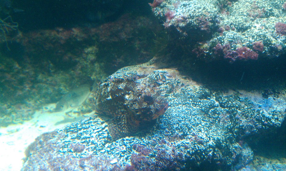 alexander stangl – Tiergarten Schönbrunn