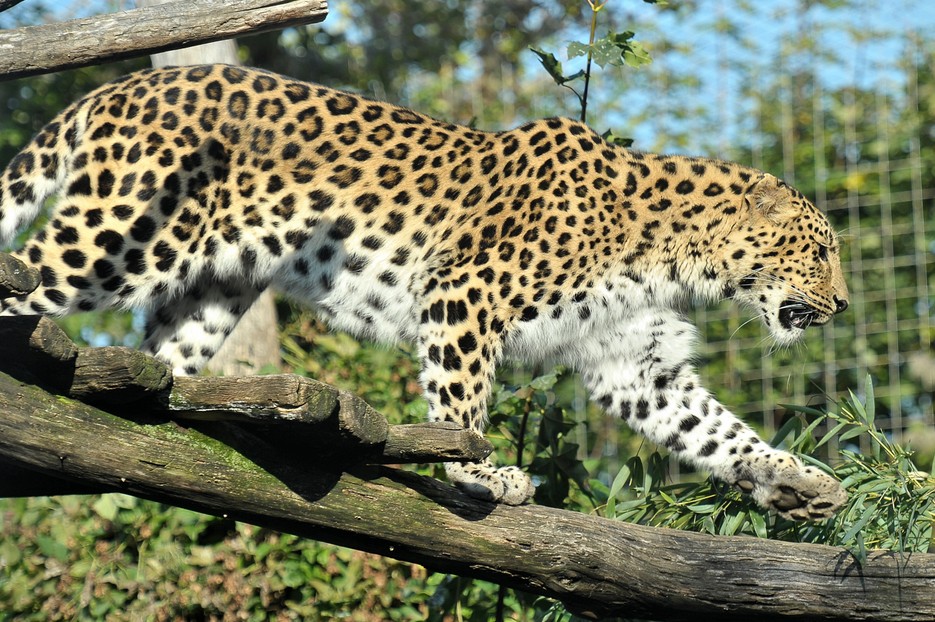 Homepage – Vienna Zoo