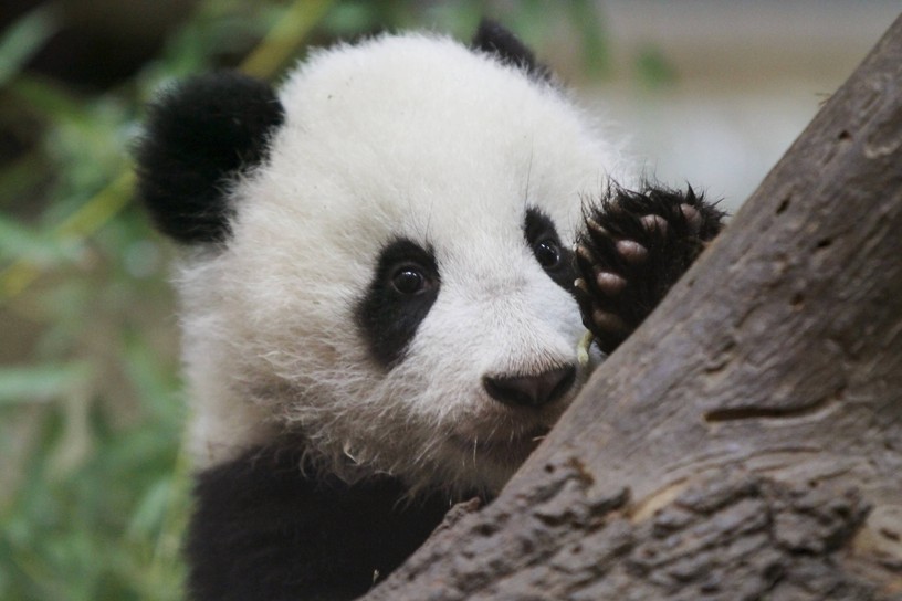 Foto: Birgit S. , 19. Jänner 2014