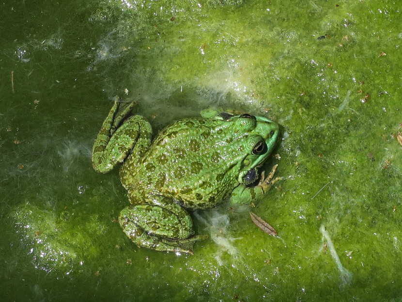 Christa Wiener-Pucher – Tiergarten Schönbrunn