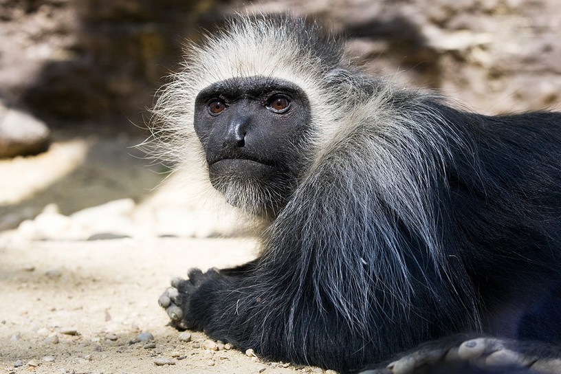 Foto: Franz Wunsch , 2. Mai 2012