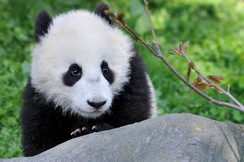 Foto: Josef Gelernter Photography , 8. April 2014