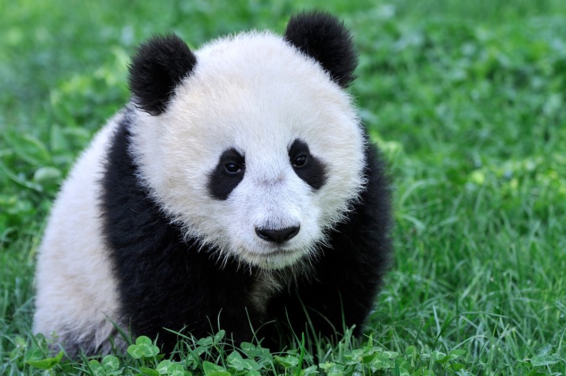 Foto: Josef Gelernter Photography , 8. April 2014