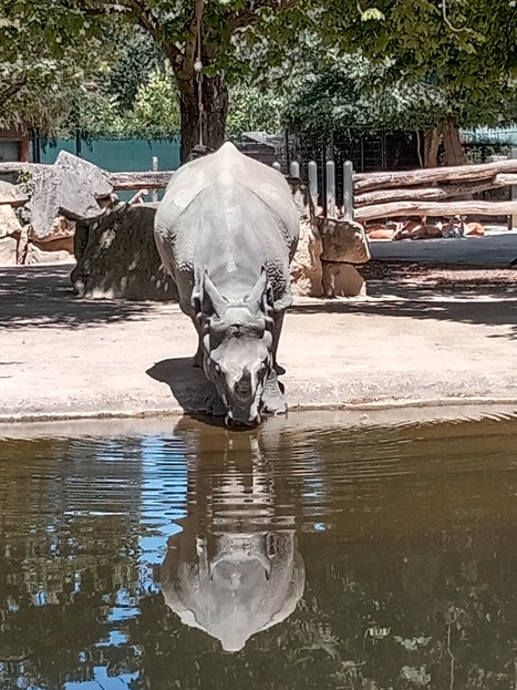 Melanie sylvana S – Tiergarten Schönbrunn